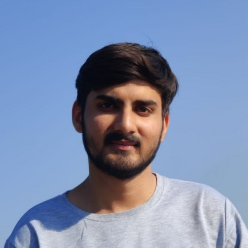 Husnain - Basic computing tutor in Honolulu - 15$/h