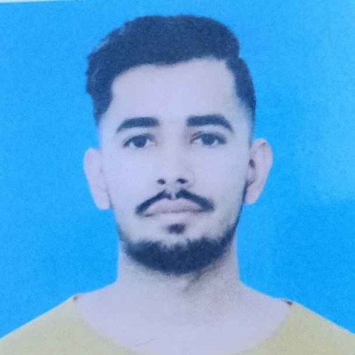 Surender - Accounting tutor - 4£/h