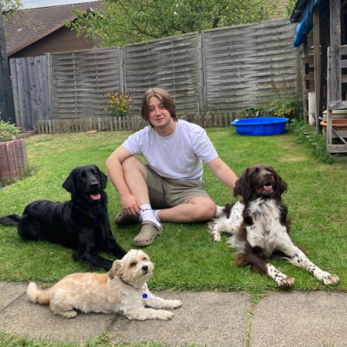 George - Mathematics tutor - 27$/h