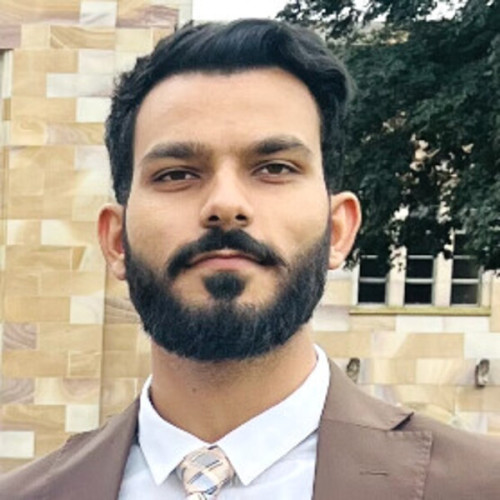 Abhinav - Computer programming tutor - 21$/h