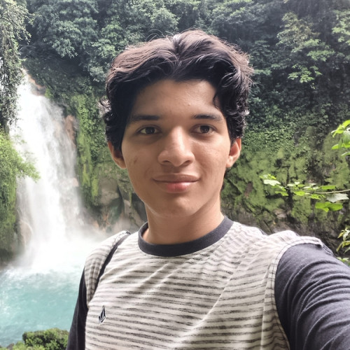 Austin Gabriel - Maths tutor - $15/h