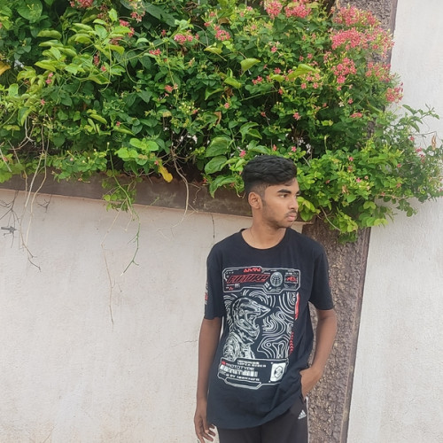 Naitik - English tutor - 12£/h