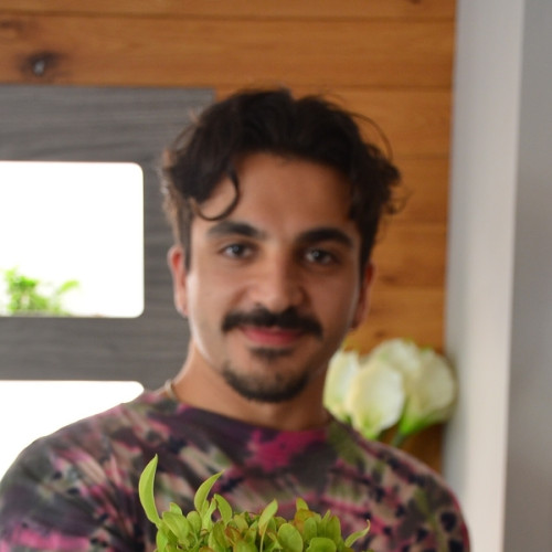 Rashed - Maths tutor - 26£/h