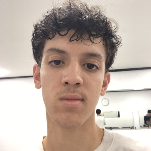 Safwen - Prof d'anglais à Lille - 20€/h