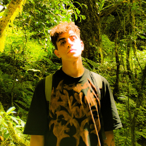 Mateo - Profesor matemática en San martin de los andes - $15000/h