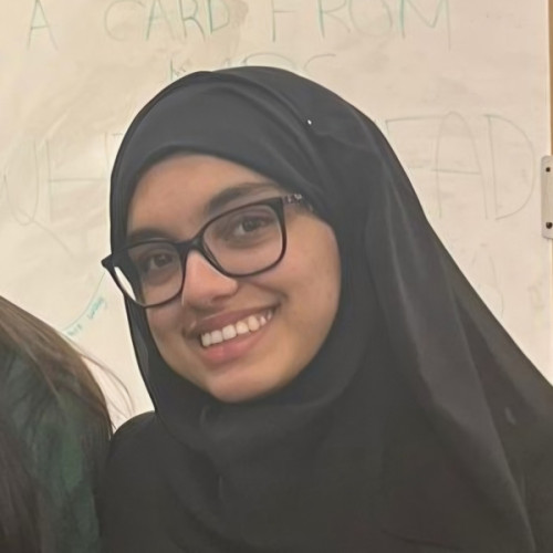 Aaminah - Mathematics tutor - 17$/h