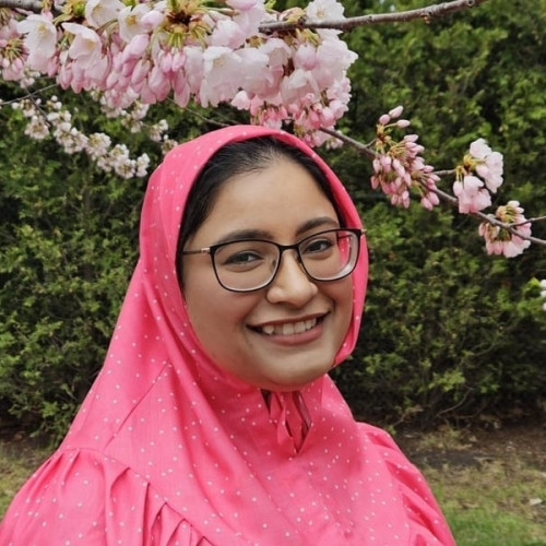 Tahera - Design tutor - 13£/h