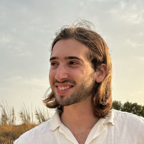 Emile - Prof de maths à Lyon - 25€/h