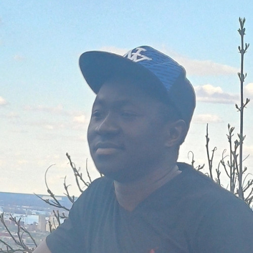 Steve - Math tutor in Montreal - $24/h