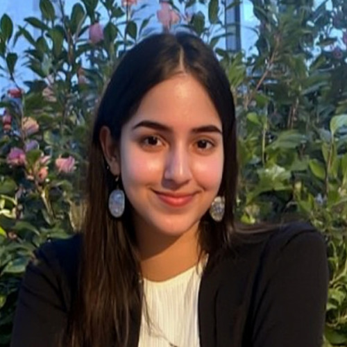 Zavia - Engineering tutor in Belfast - 27£/h