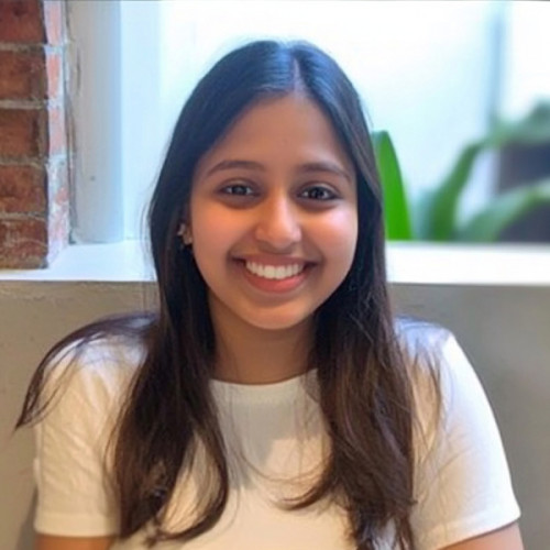 Veeni - Economics tutor - 37$/h