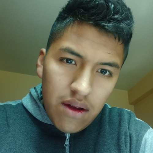 Bryan andre - Profesor de matemáticas - $27/h