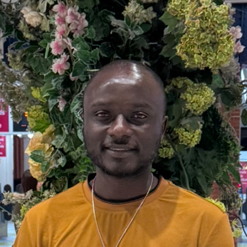 Victor Abayomi - Maths tutor in Croydon - 14£/h