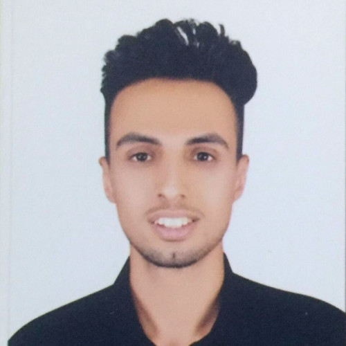 Saif - Maths tutor - $16/h