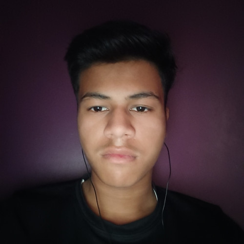 Sahaj - Hindi tutor - 1£/h