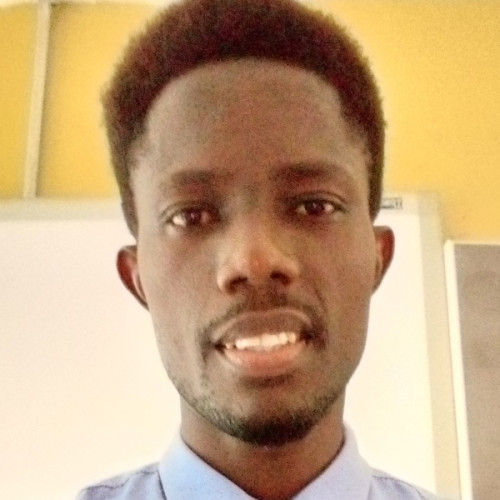 Moses - Mathematics tutor - 3$/h - 15 reviews