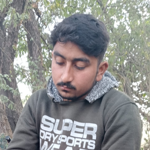 Shiva Physics Tutor 12 H