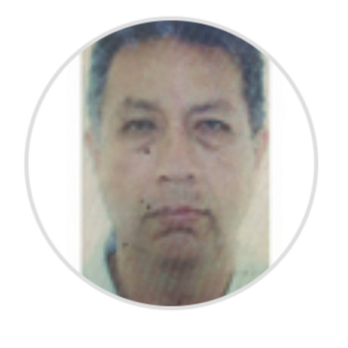 Luis Raul - Profesor matemática - $6087/h