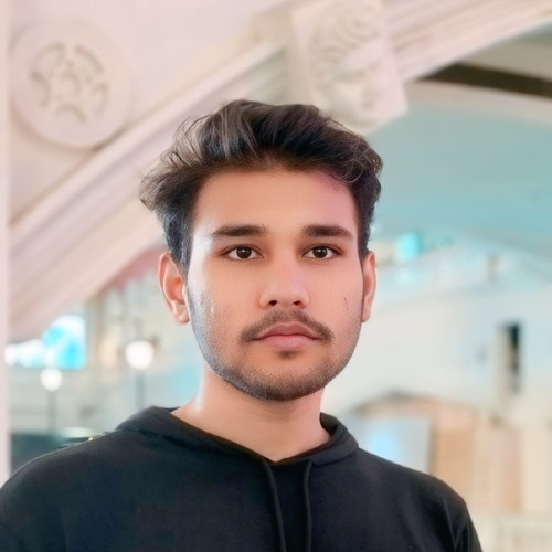 Anmol - Computer programming tutor - 3£/h - 2 reviews