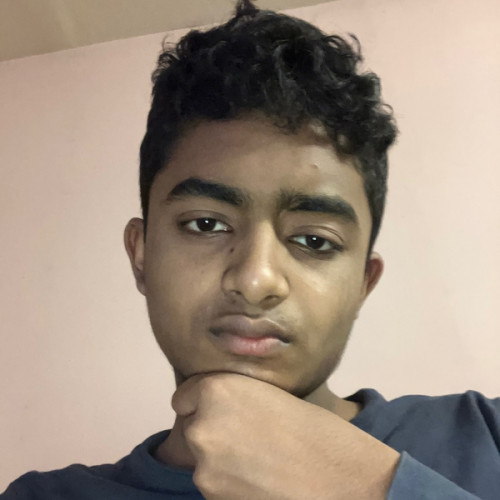 Zahin - Math tutor - $21/h - 1 avis