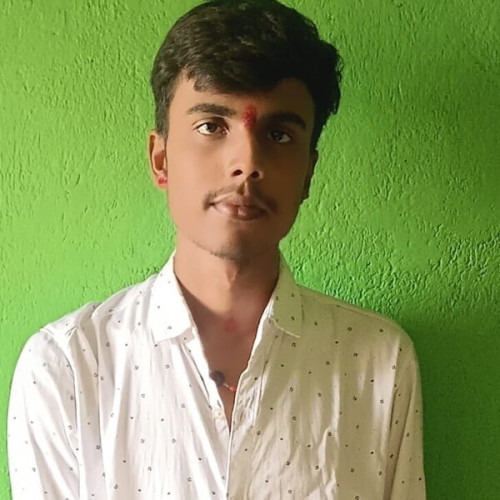 Shubham - Maths tutor - 4£/h - 2 reviews