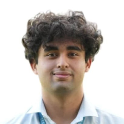 Daksh - Computer programming tutor - 4£/h