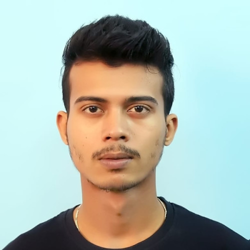 Utsab - Computer programming tutor - 3£/h