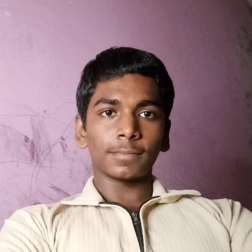 Rishu - Python tutor - 2£/h - 1 reviews