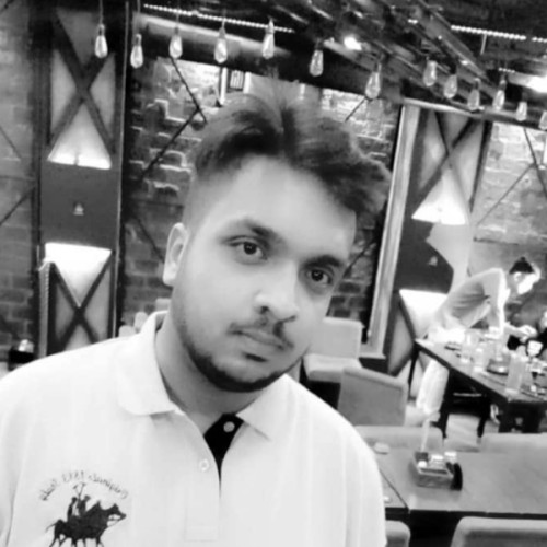 Sahaj - Computer programming tutor - 7$/h