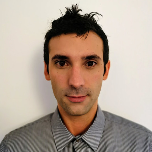 Dimitri - French tutor - $29/h - 18 reviews