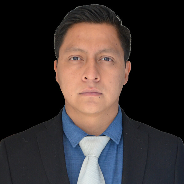 BRUCE - Maths tutor - 8£/h